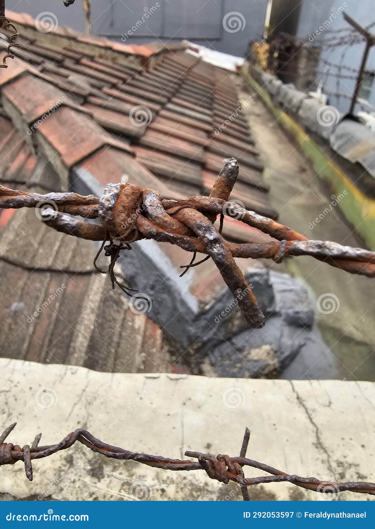 Rotten Wire in the Rooftop Macro Photograph Stock Image - Image of ...