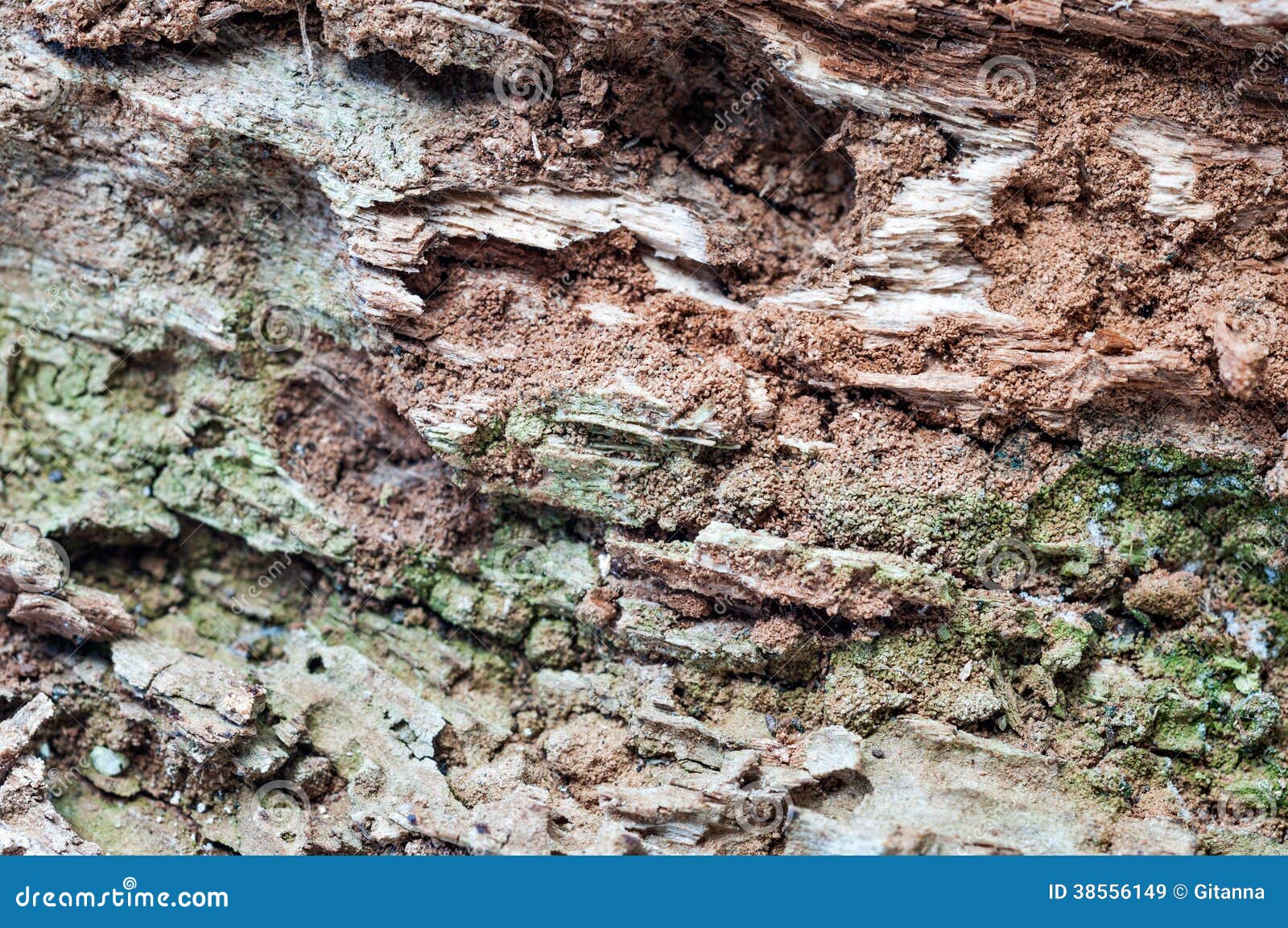 Rotten wood stock image. Image of weathered, closeup - 38556149