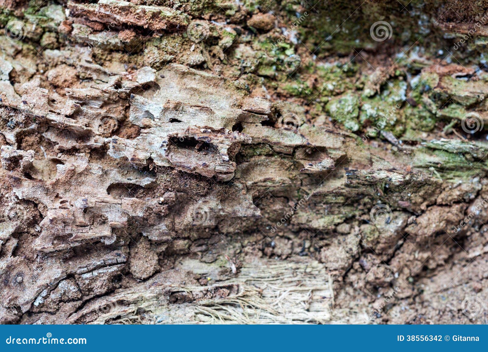 Rotten wood stock photo. Image of texture, obsolete, abstract - 38556342