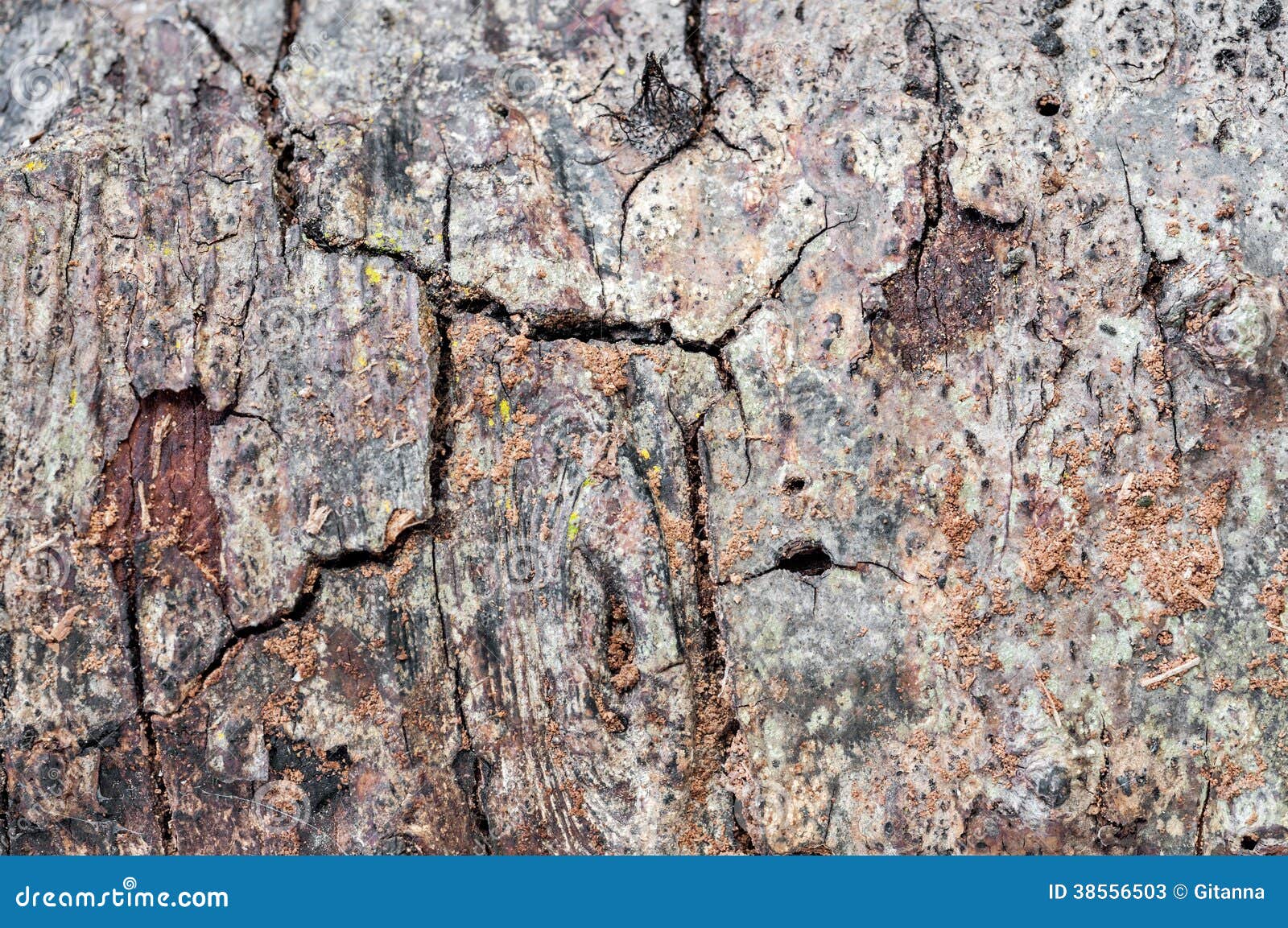 Rotten wood stock image. Image of natural, sign, board - 38556503