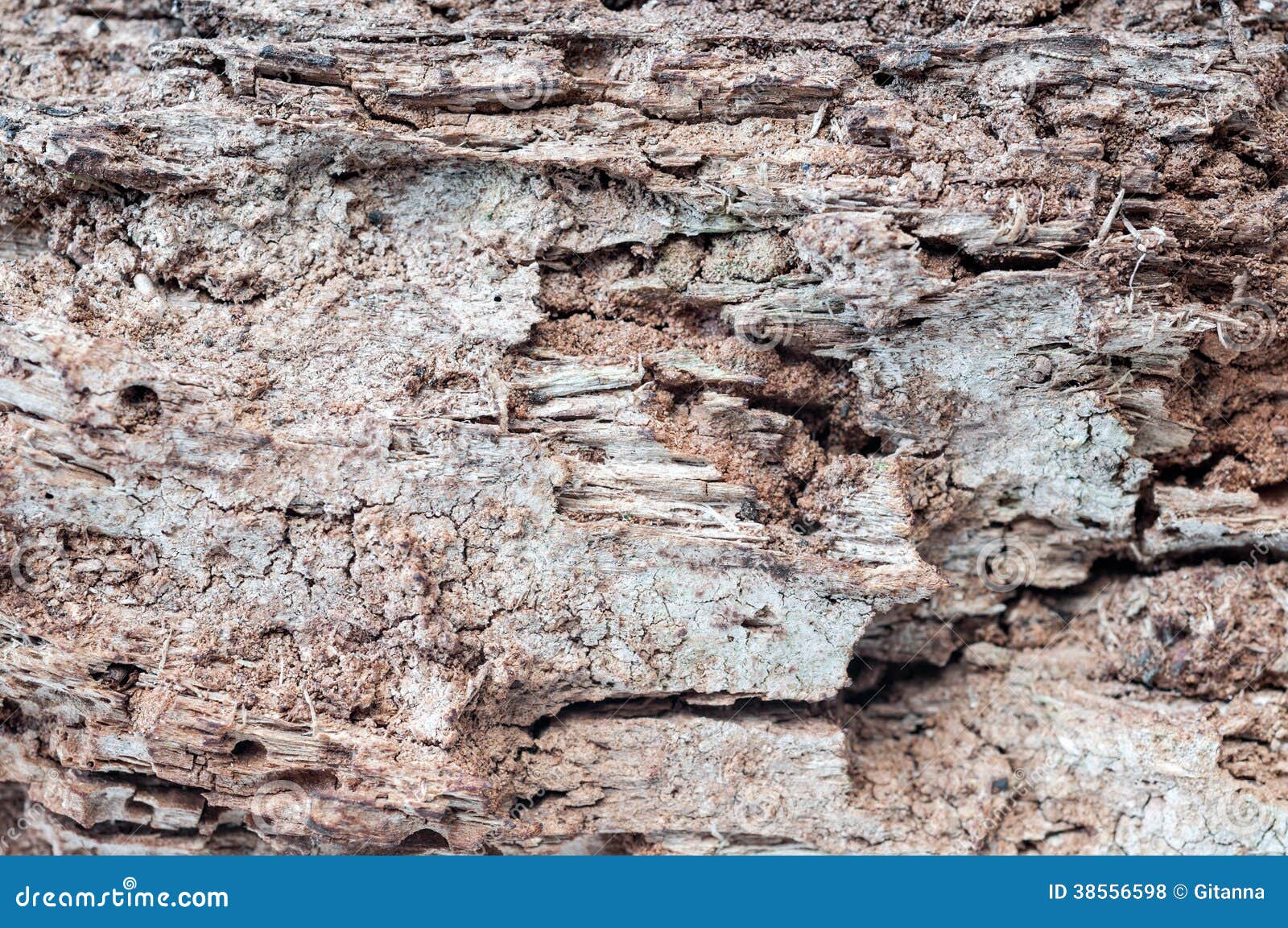 Rotten wood stock photo. Image of rust, rotten, natural - 38556598