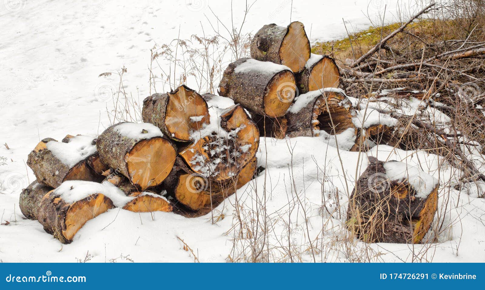 Rotten Wood Pile stock image. Image of pile, rough, winter - 174726291