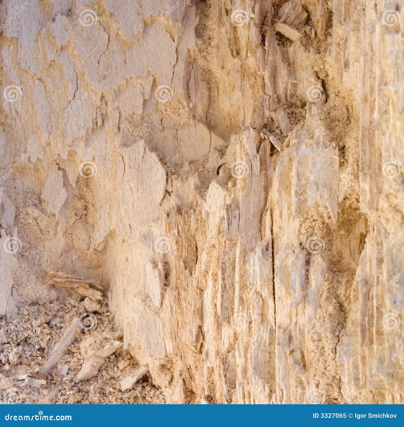 Rotten wood, texture stock image. Image of destruction - 3327065