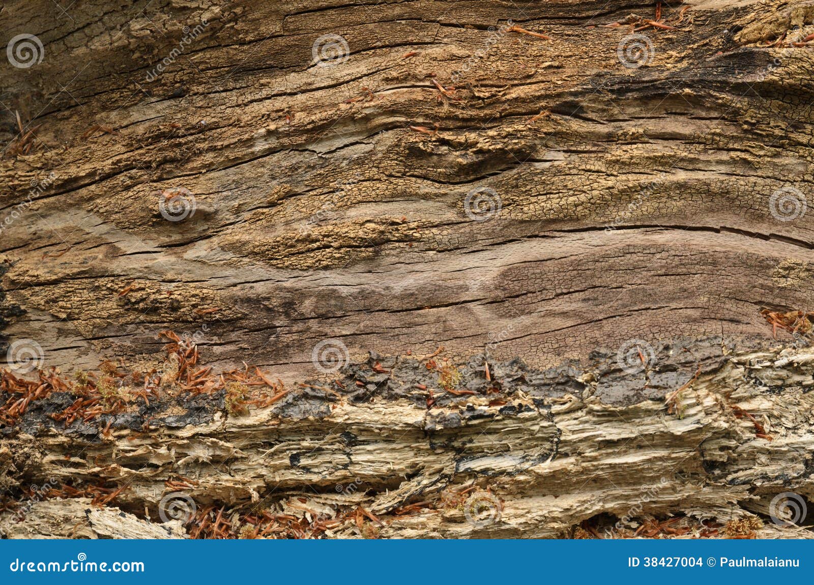 Rotten Wood Texture Royalty-Free Stock Image | CartoonDealer.com #38427004