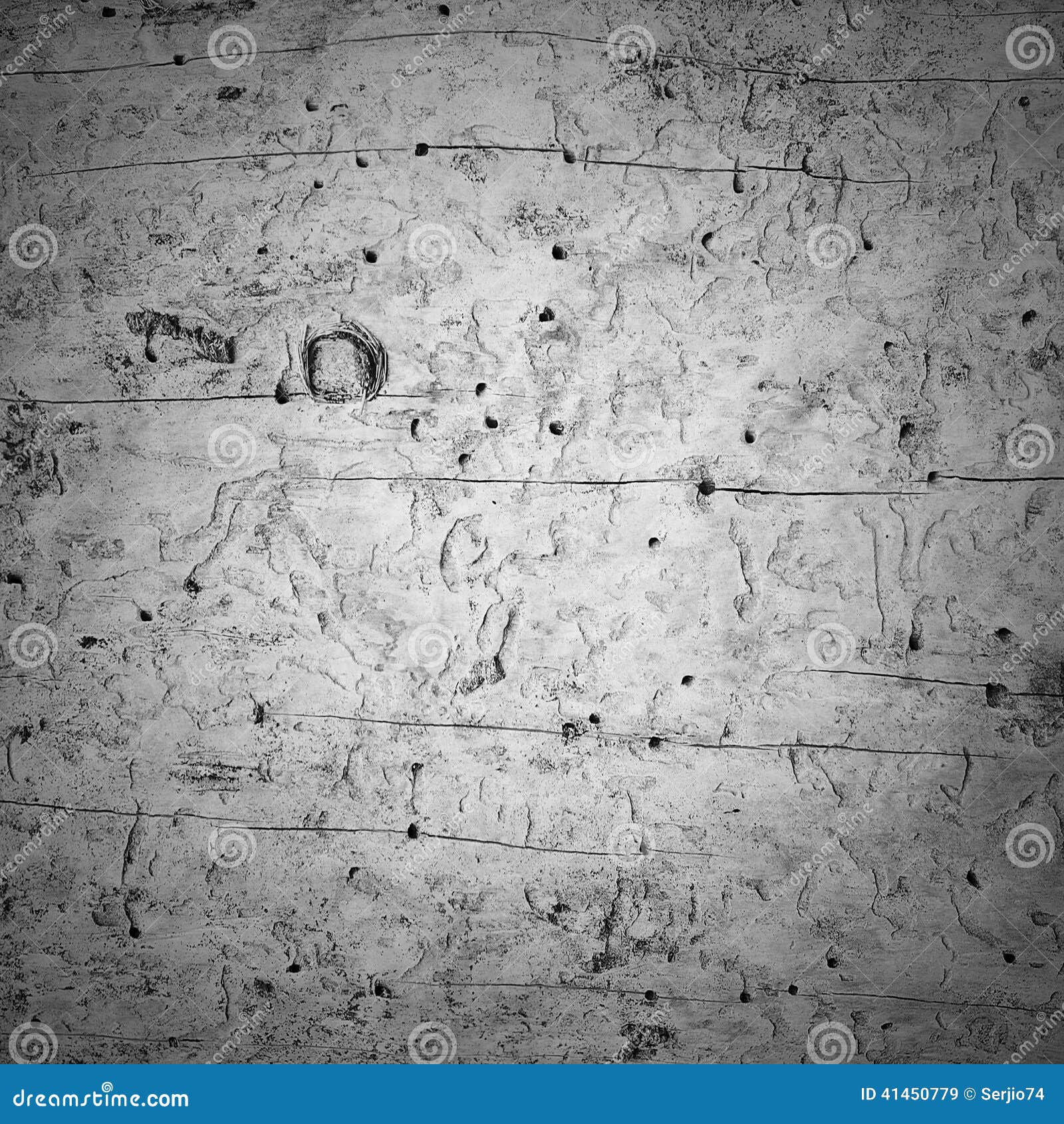 Rotten Wood Texture. Stock Image | CartoonDealer.com #41450779