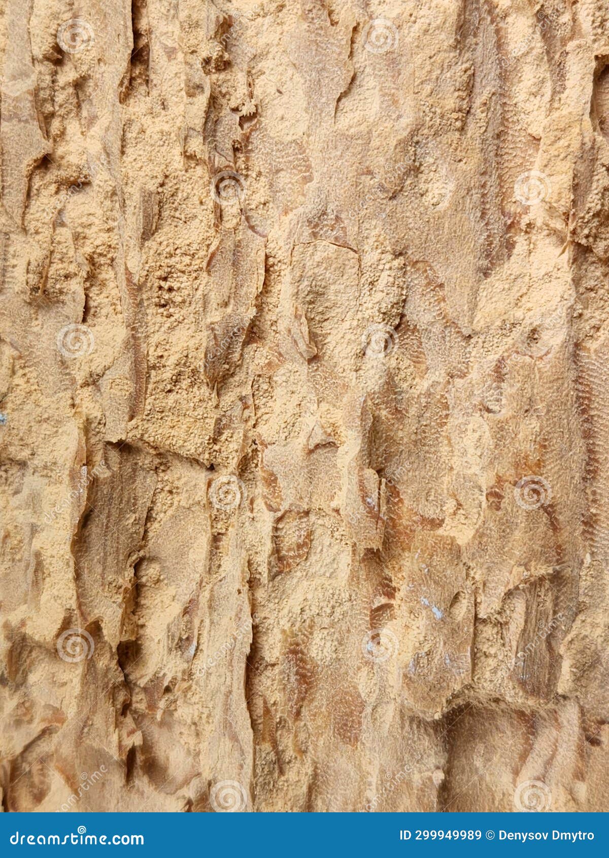 Rotten Wood. Rotten Wood Texture Stock Image - Image of pattern ...