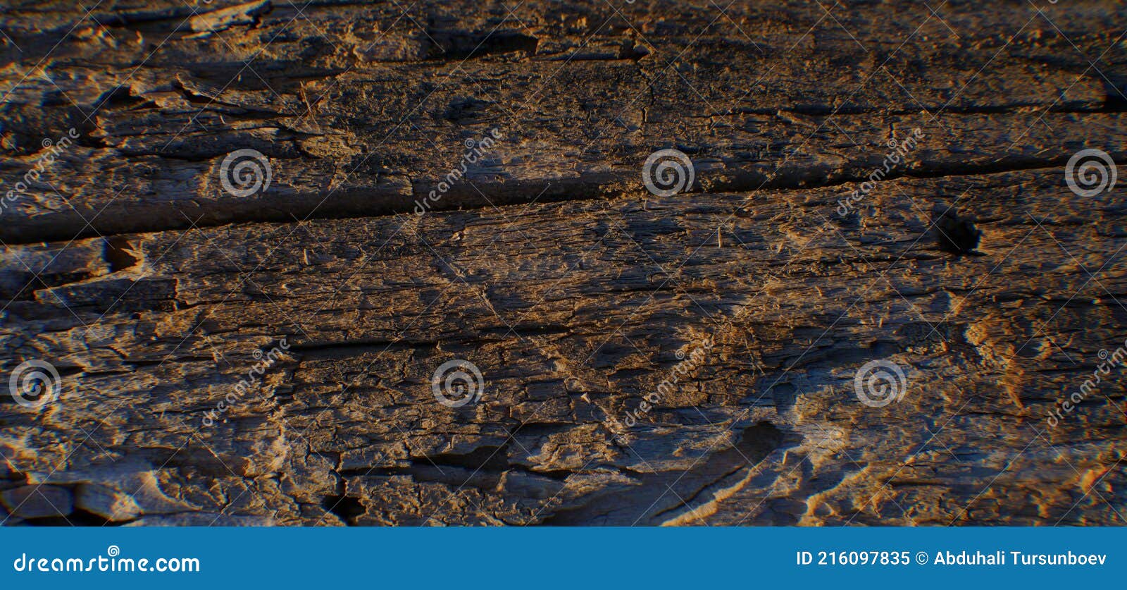 Rotten wood texture stock image. Image of wooden, tree - 216097835