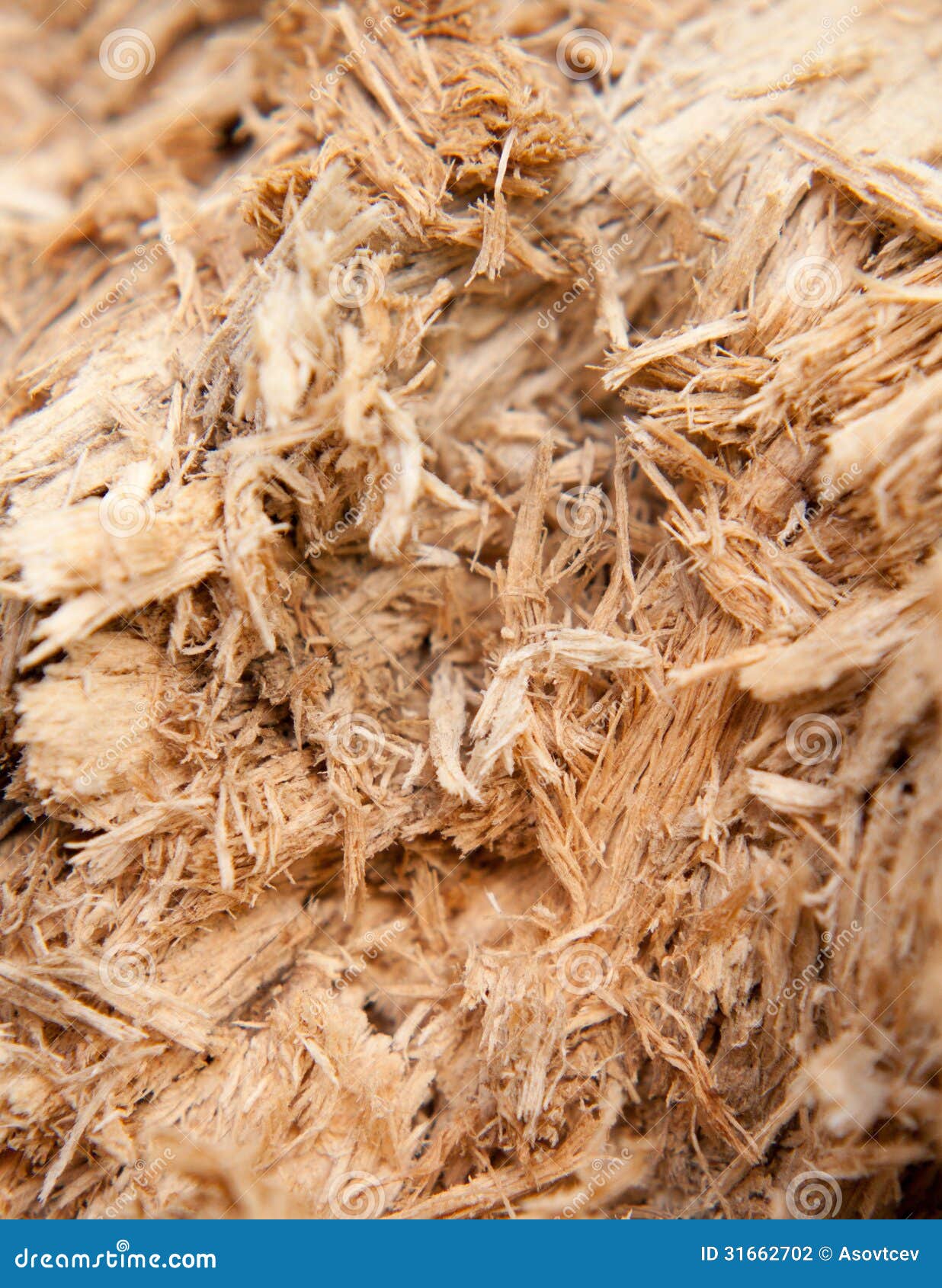 Rotten wood texture stock photo. Image of stuff, environment - 31662702