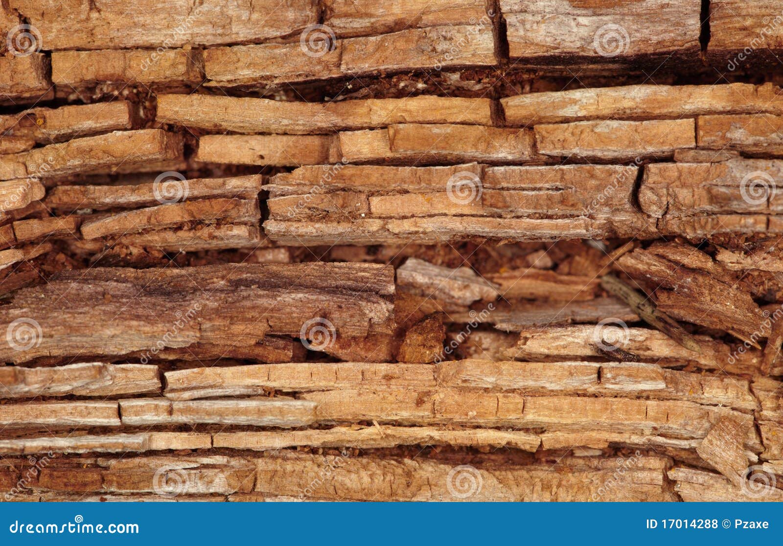 Rotten wooden background stock photo. Image of split - 17014288