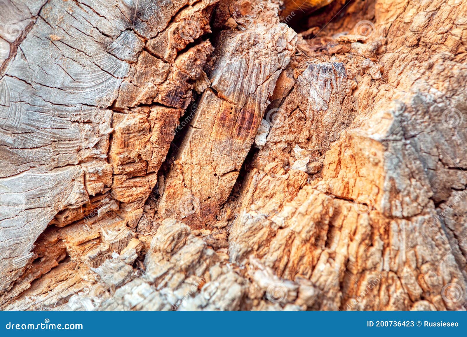 Rotten wooden structure stock image. Image of messy - 200736423