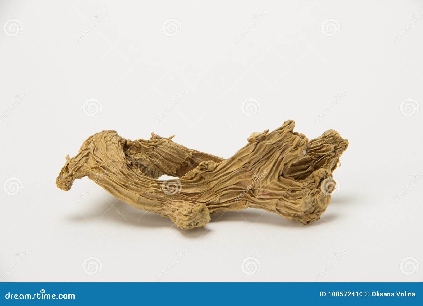 Rotten Wrinkled Ginger Root On A White Background Stock Photography ...