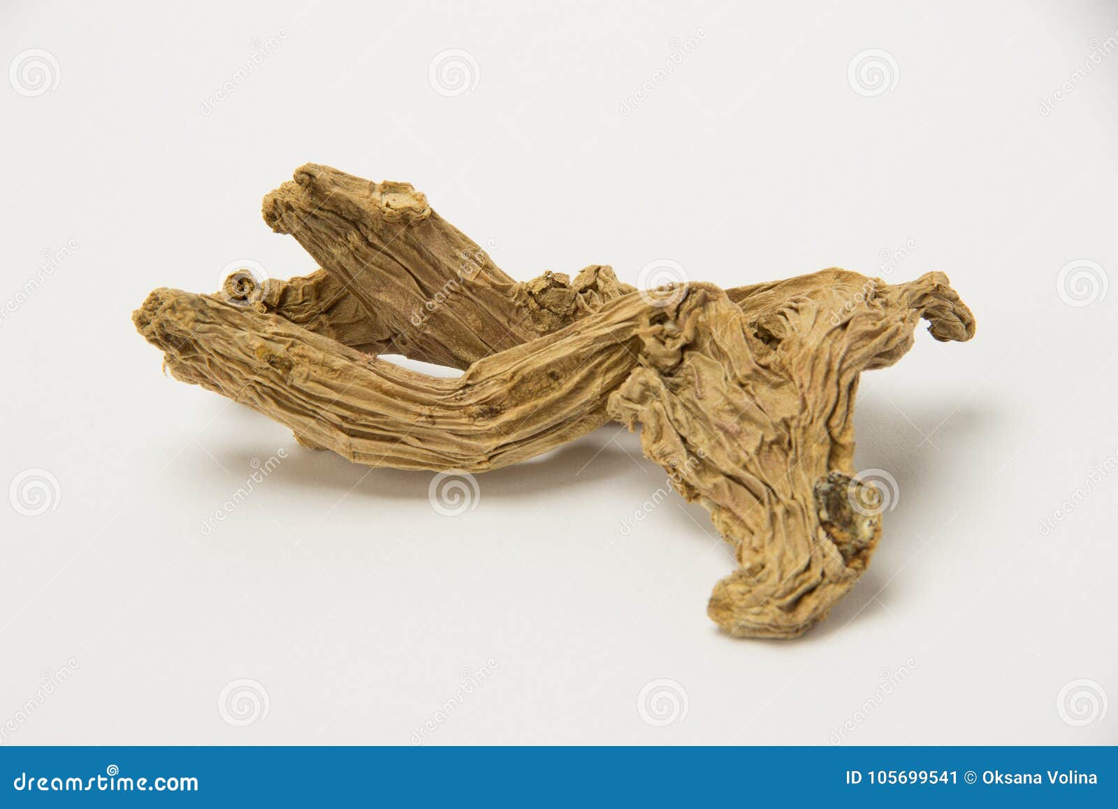 Rotten Wrinkled Ginger Root On A White Background Stock Photography ...