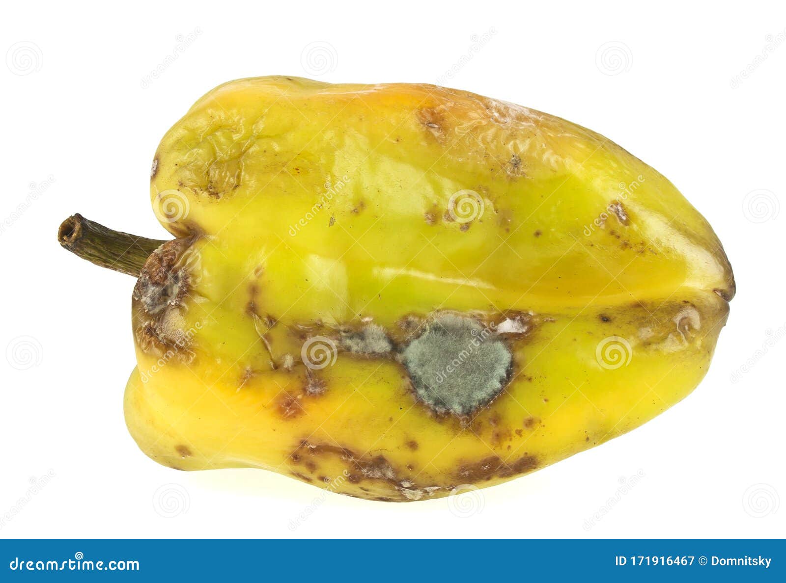 Rotten Bellpepper Isolated On White Royalty-Free Stock Photography ...