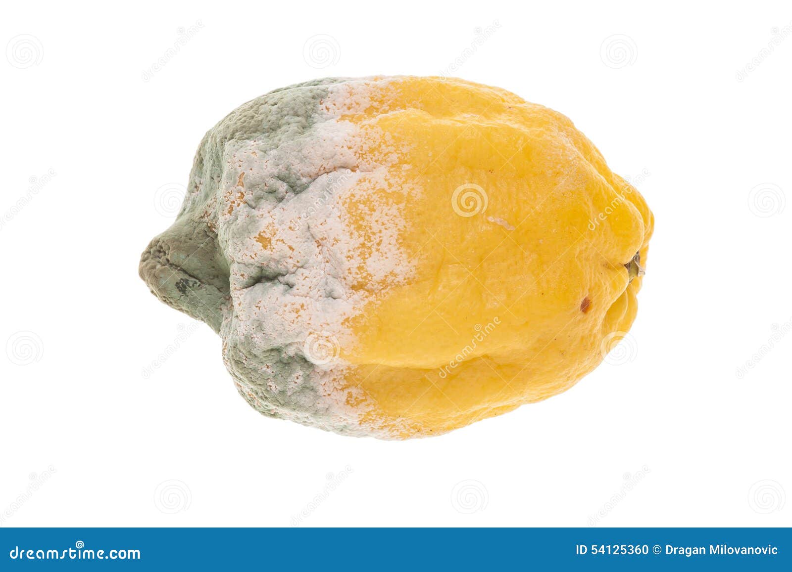 Rotten yellow lemon stock photo. Image of ripe, close - 54125360