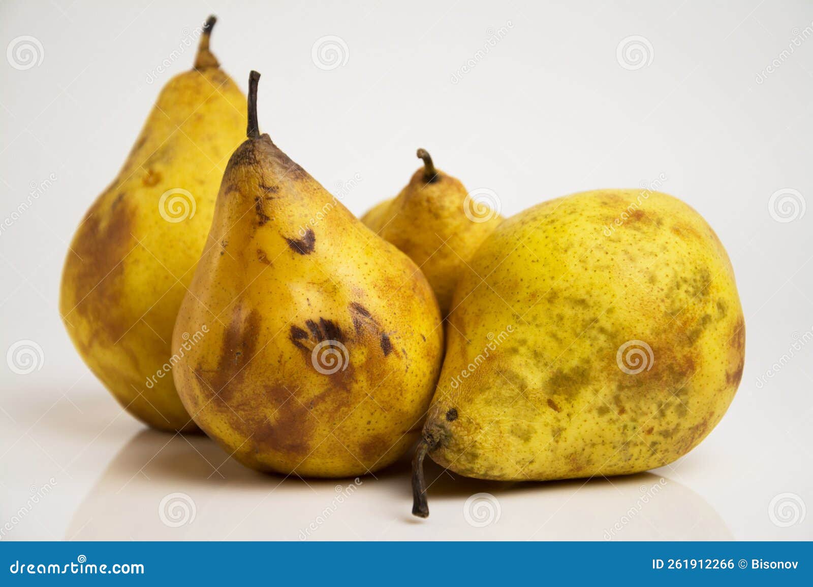 Rotten Yellow Pears Isolated on a White Stock Photo - Image of disease ...