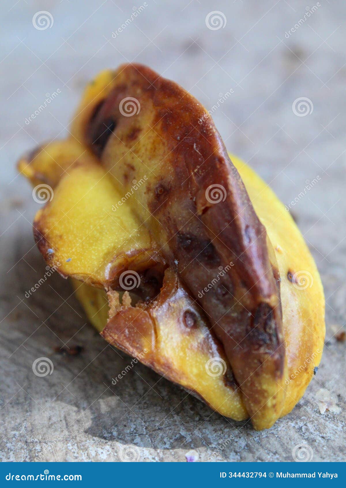Rotten Starfruit that Fell To the Ground Stock Photo - Image of petal ...