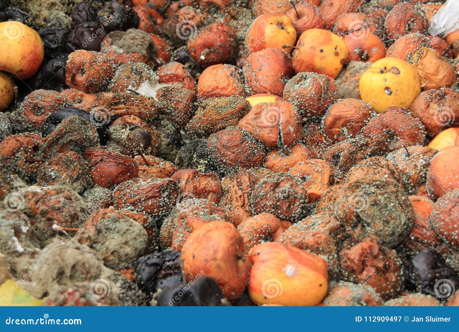 Rottend fruit in een doos stock afbeelding. Image of cultiveer - 112909497