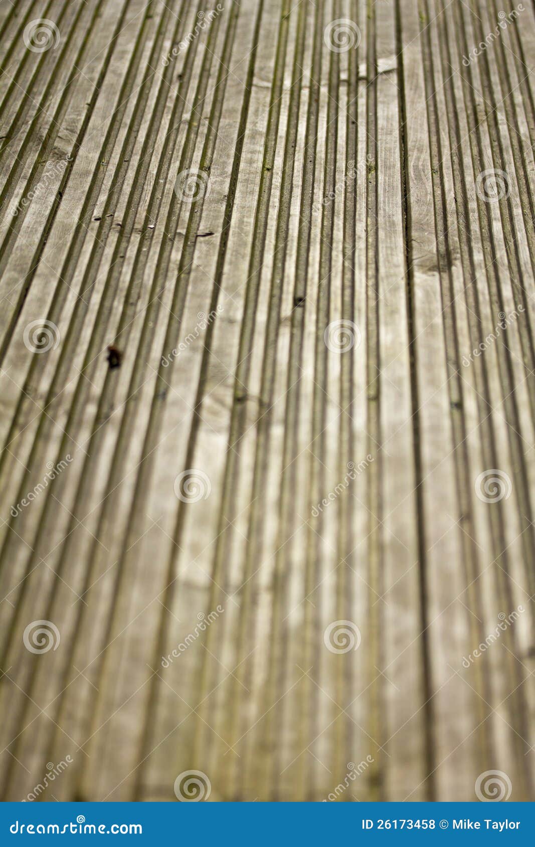 Rottend Hout stock foto. Image of tuin, verrotting, decoderen - 26173458