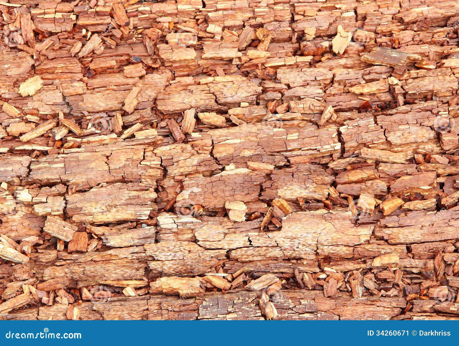 Rottend hout stock afbeelding. Image of houten, boomstam - 34260671