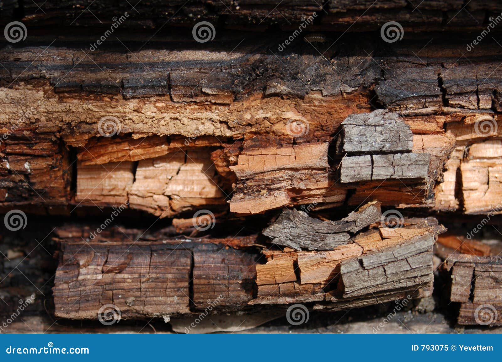 Rottend hout stock afbeelding. Image of draaien, achtergrond - 793075