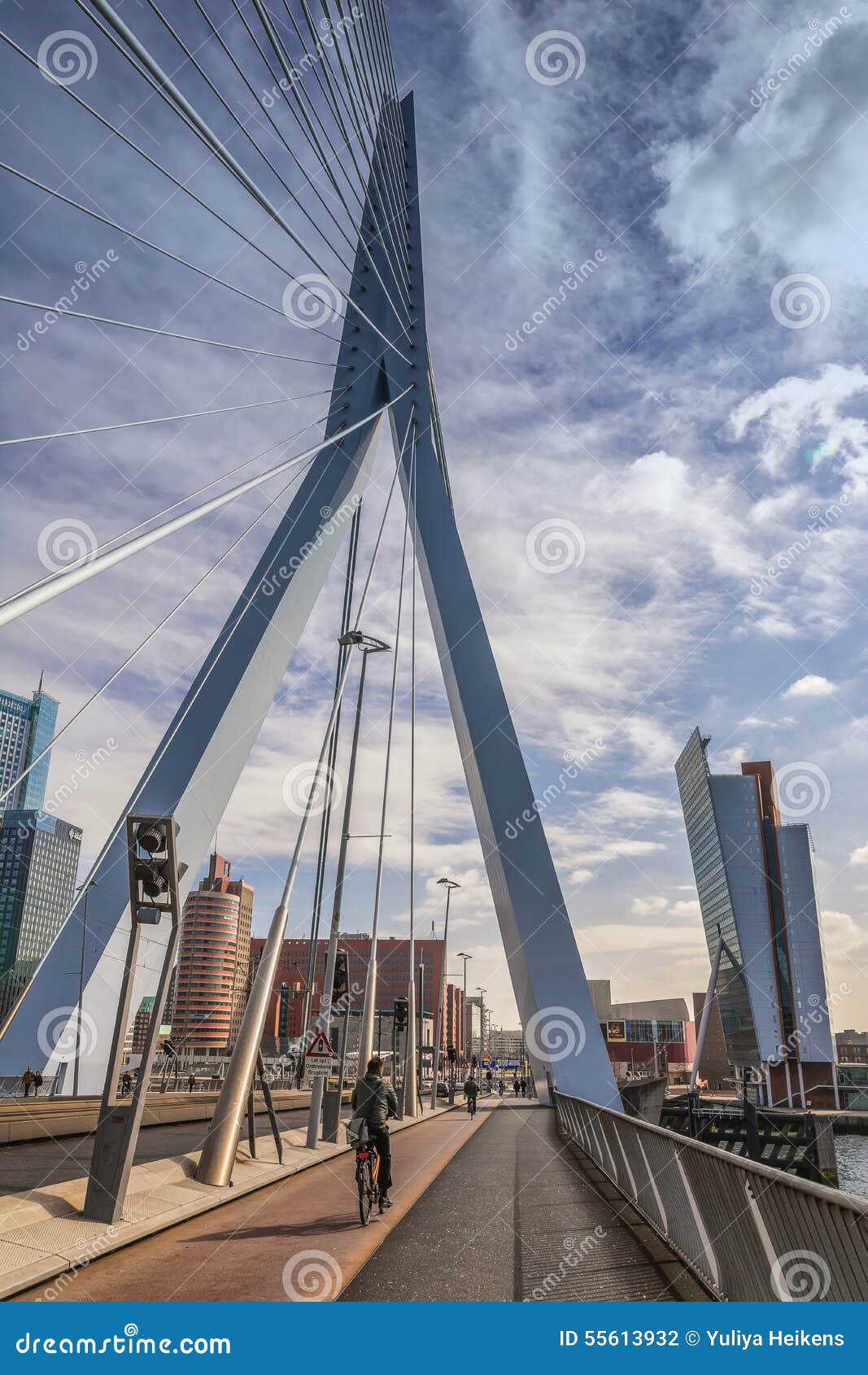 Rotterdam, Brug: DE Erasmusbrug Redactionele Fotografie - Image of ...
