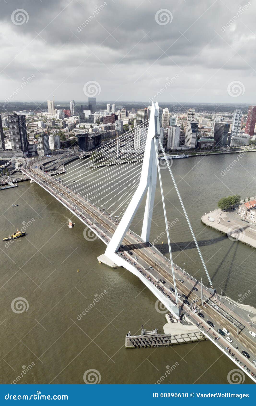 Rotterdam Erasmus bridge editorial image. Image of panoramic - 60896610