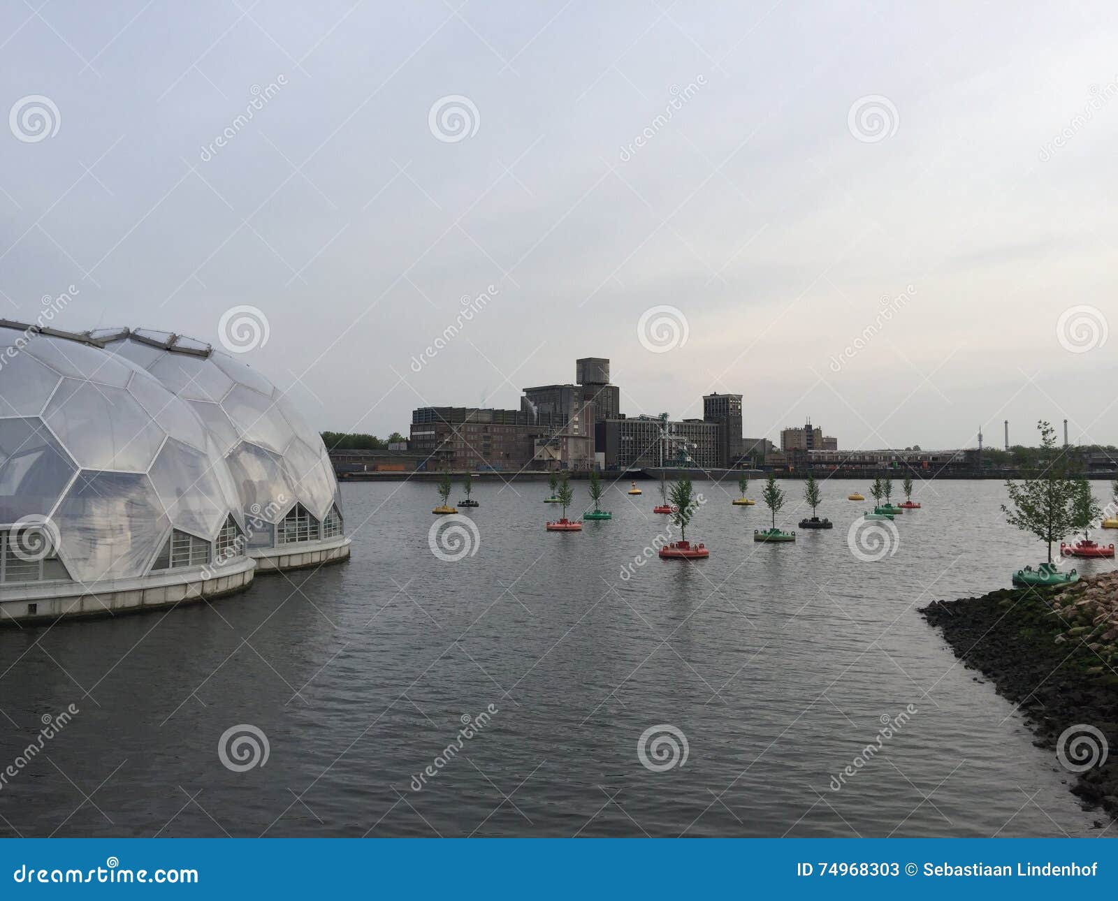 Rotterdam Harbour Floating Trees Stock Image - Image of floating ...