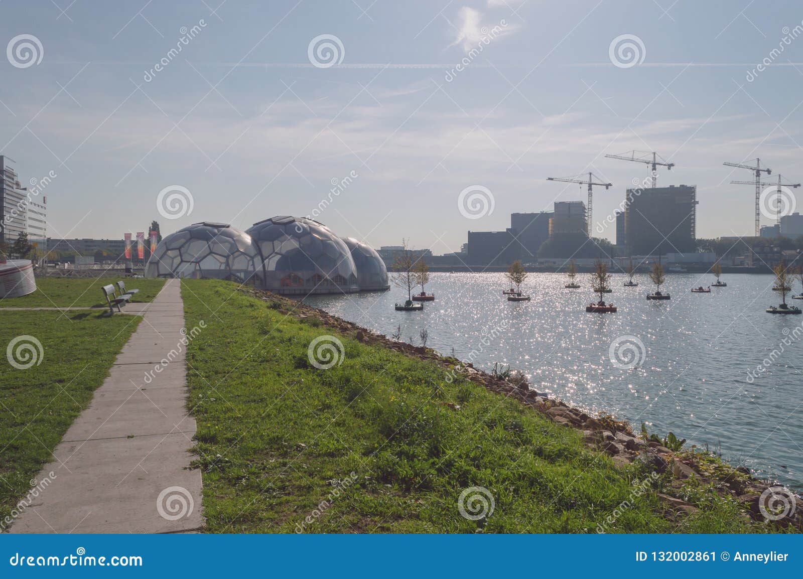 Floating Growing Trees in the River Editorial Photo - Image of floating ...