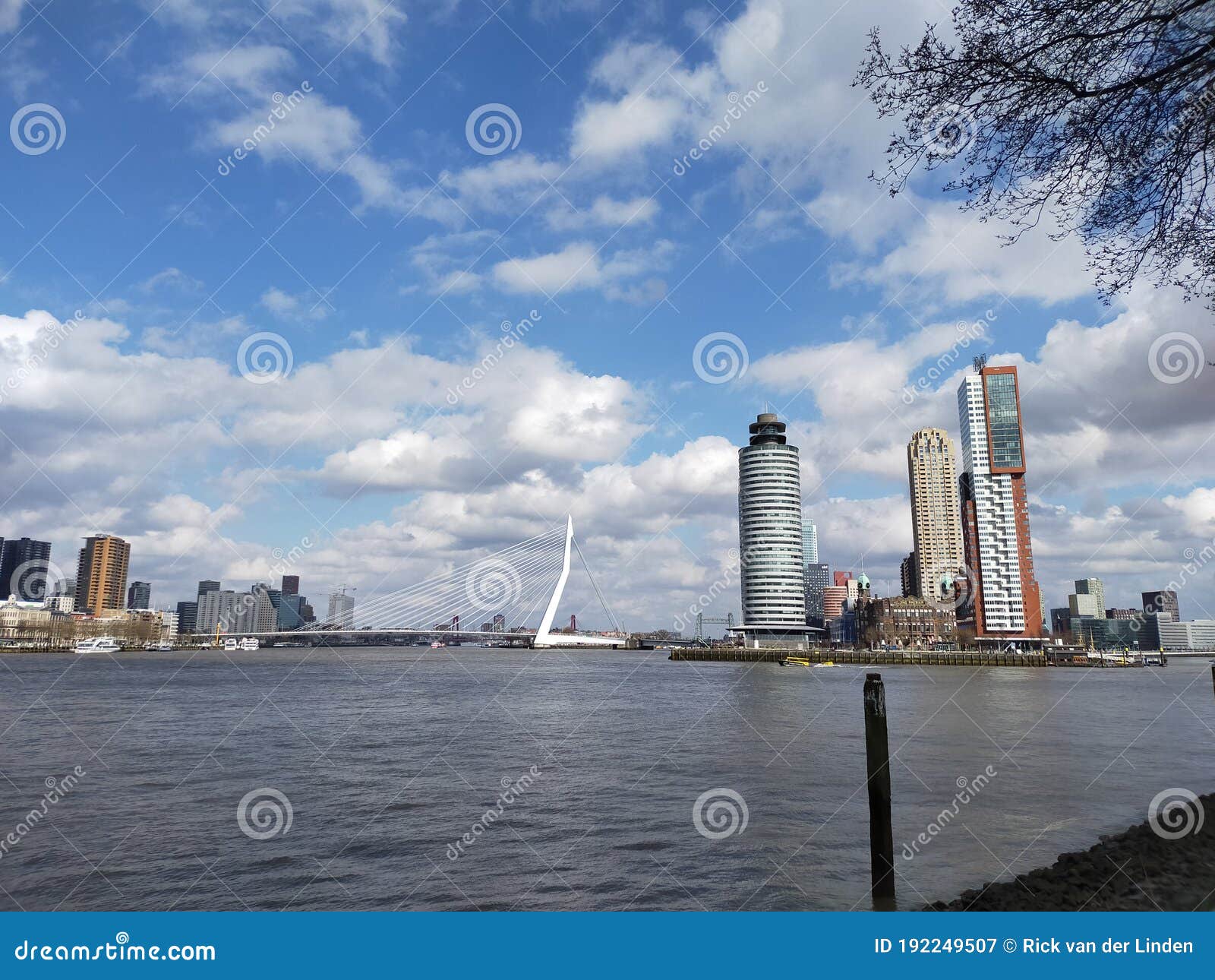 Rotterdam Skyline Wilhelminapier Editorial Photography - Image of ...