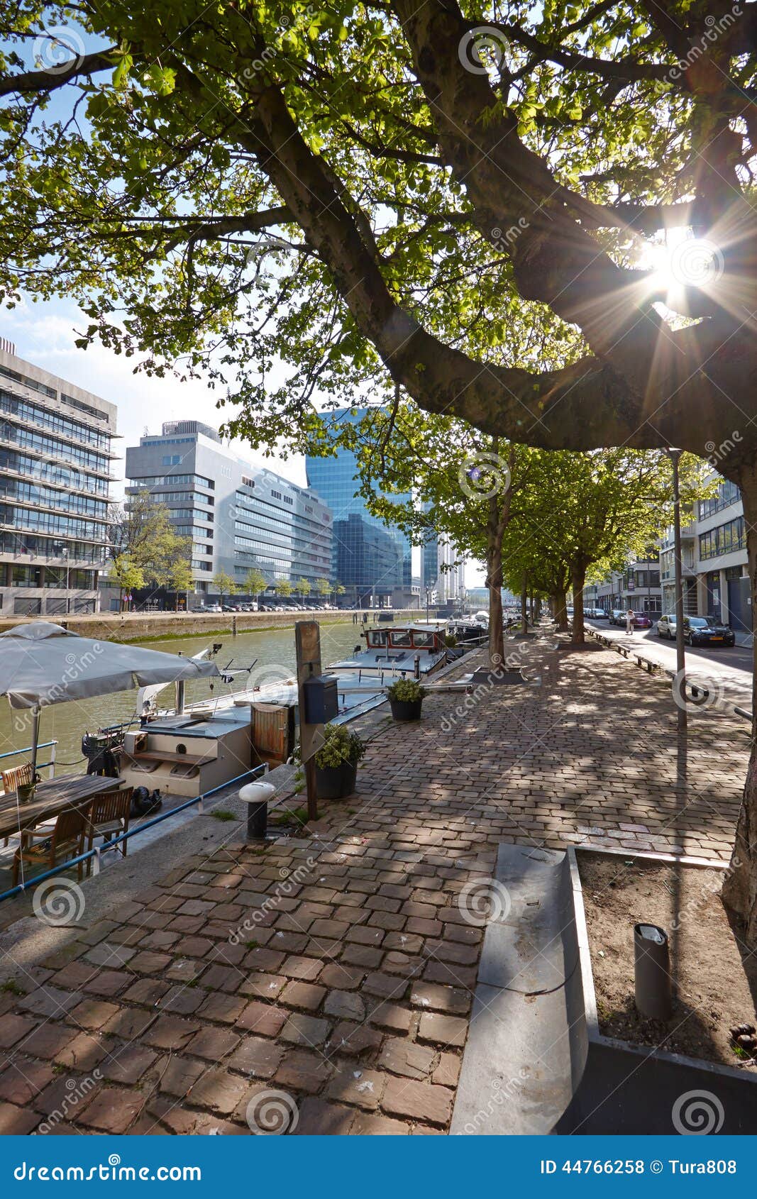 Rotterdam stock photo. Image of tree, river, street, rotterdam - 44766258