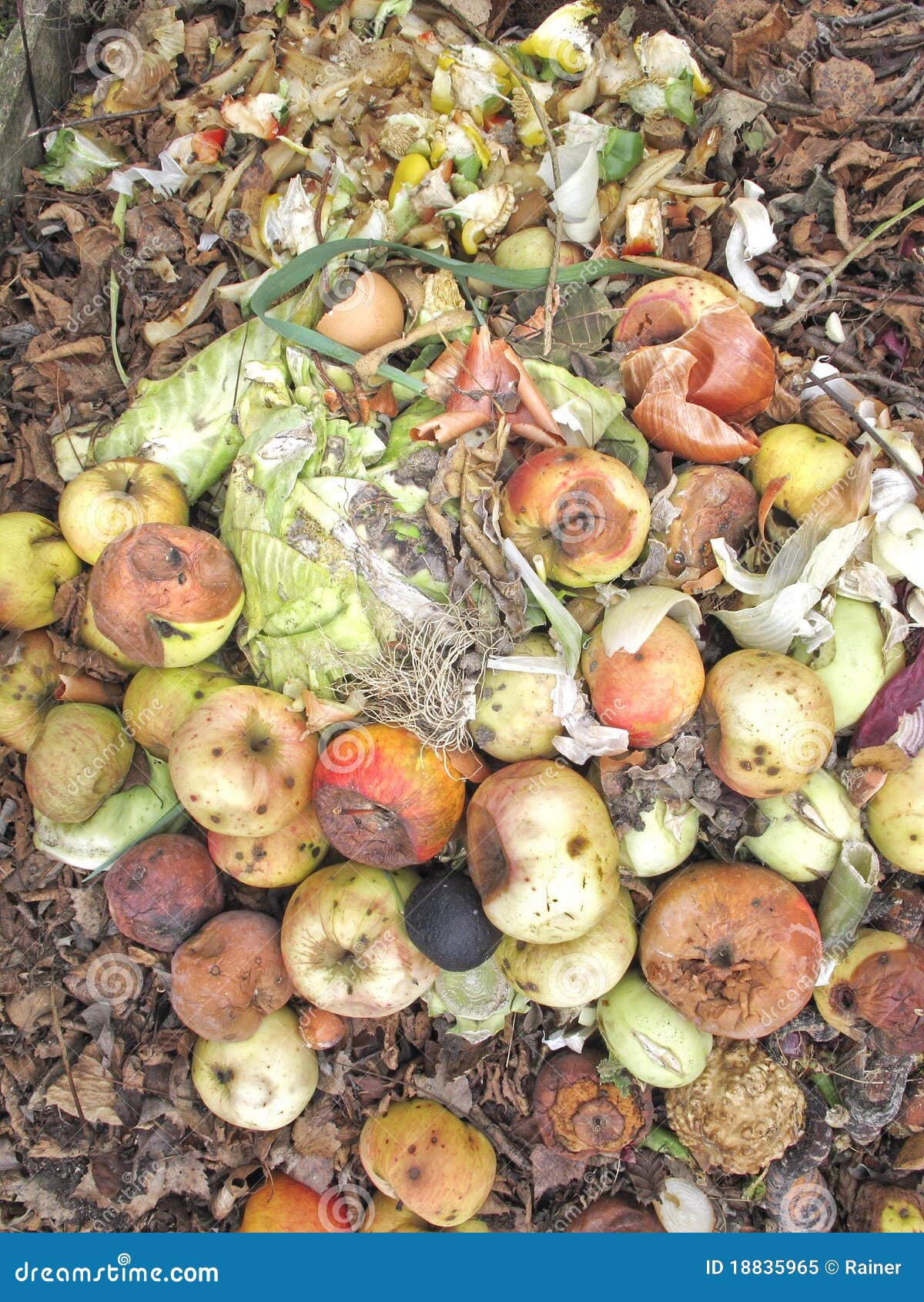 Rotting Apples stock image. Image of decomposition, rubbish - 18835965