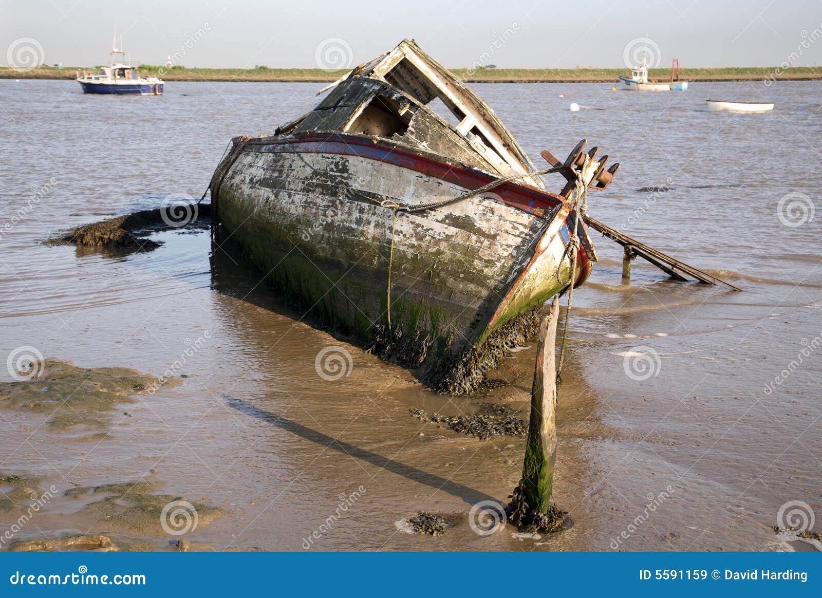Rotting boat stock image. Image of rotting, wood, boat - 5591159