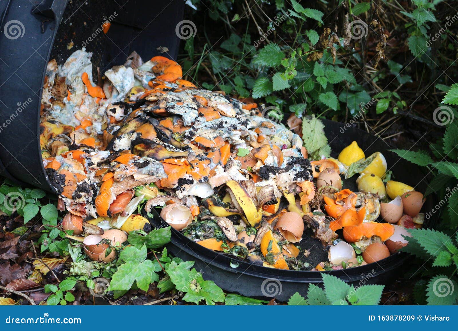 Rotting compost stock image. Image of garbage, vegetable - 163878209