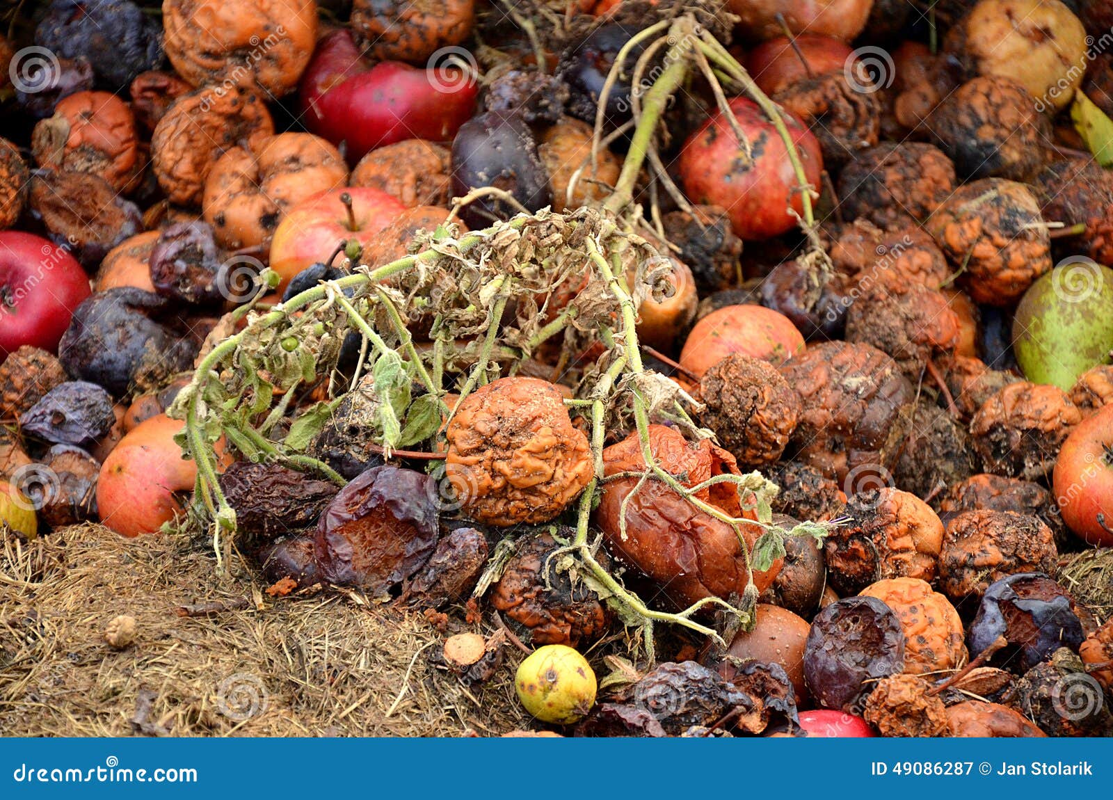 Rotting fruit compost stock image. Image of peaches, nature - 49086287