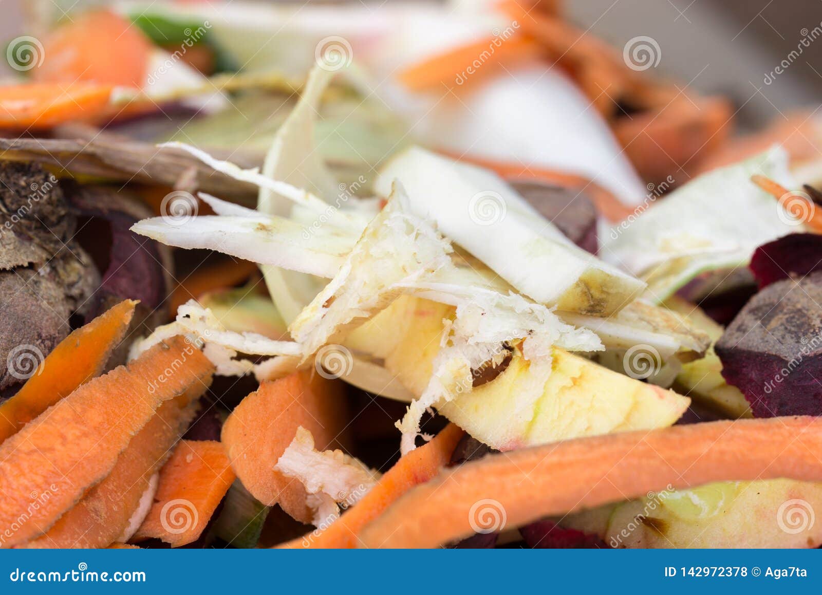 Rotting Kitchen Vegetable Scraps Stock Photo - Image of fertilizer ...