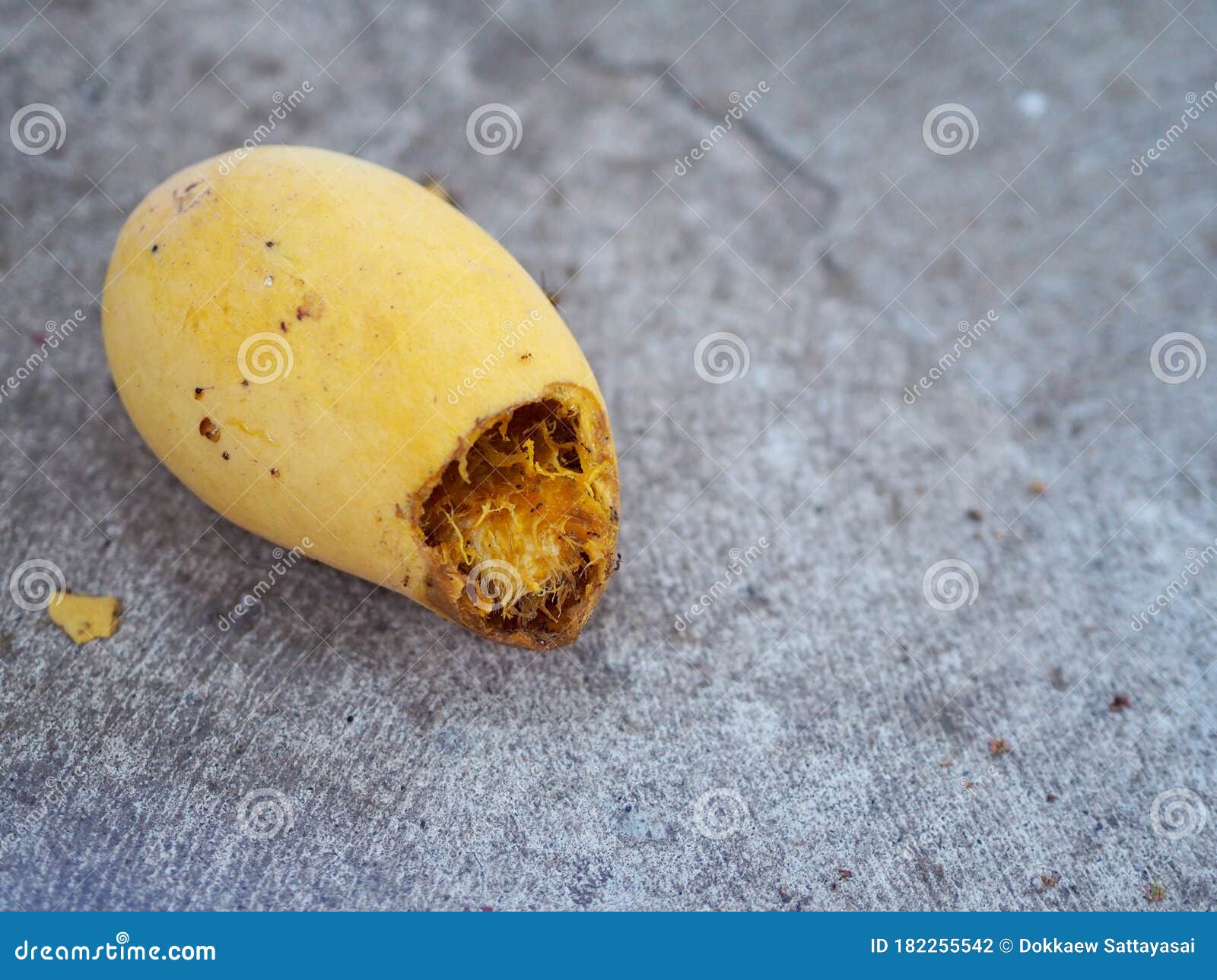 Rotting Mango on Cement Floor Stock Photo - Image of rotten, mango ...