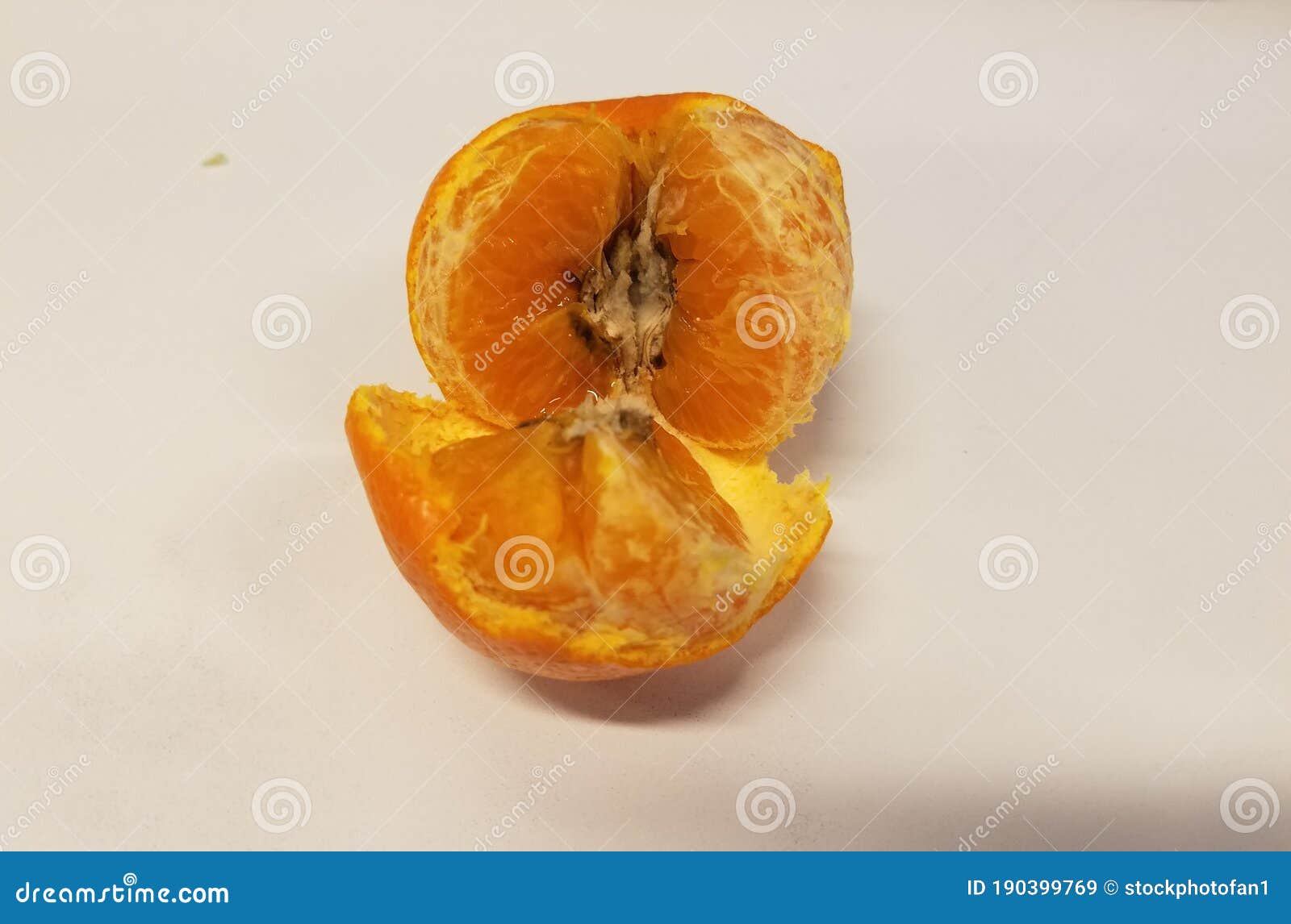 Rotting Putrid Inside of an Orange Citrus Fruit Stock Image - Image of ...