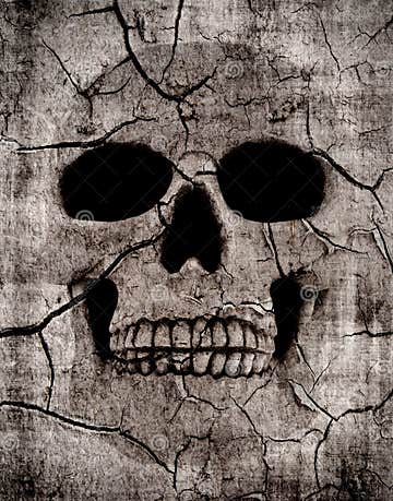 Rotting skull stock image. Image of deadly, texture, eternity - 22133351