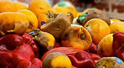 Rotting vegetables stock photo. Image of decompose, blemish - 6870794