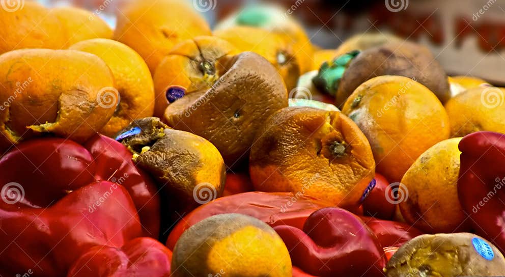 Rotting vegetables stock photo. Image of decompose, blemish - 6870794