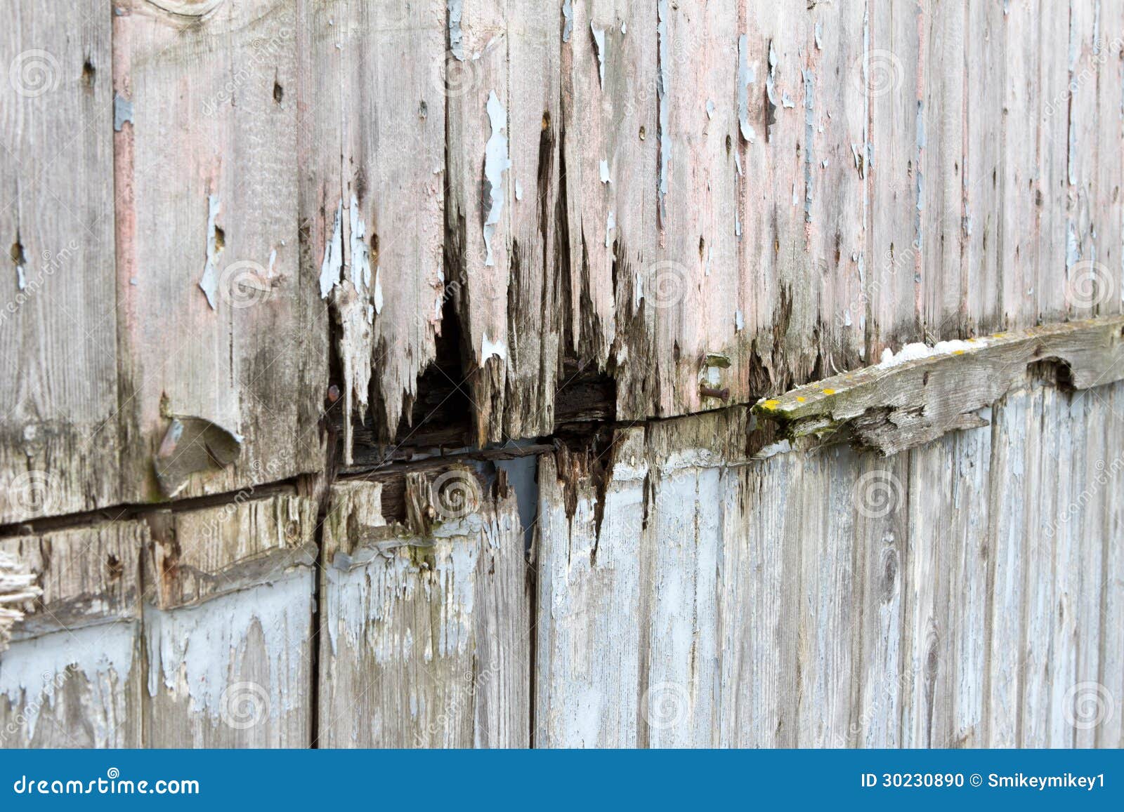 Rotting wooden panels stock photo. Image of natural, desk - 30230890