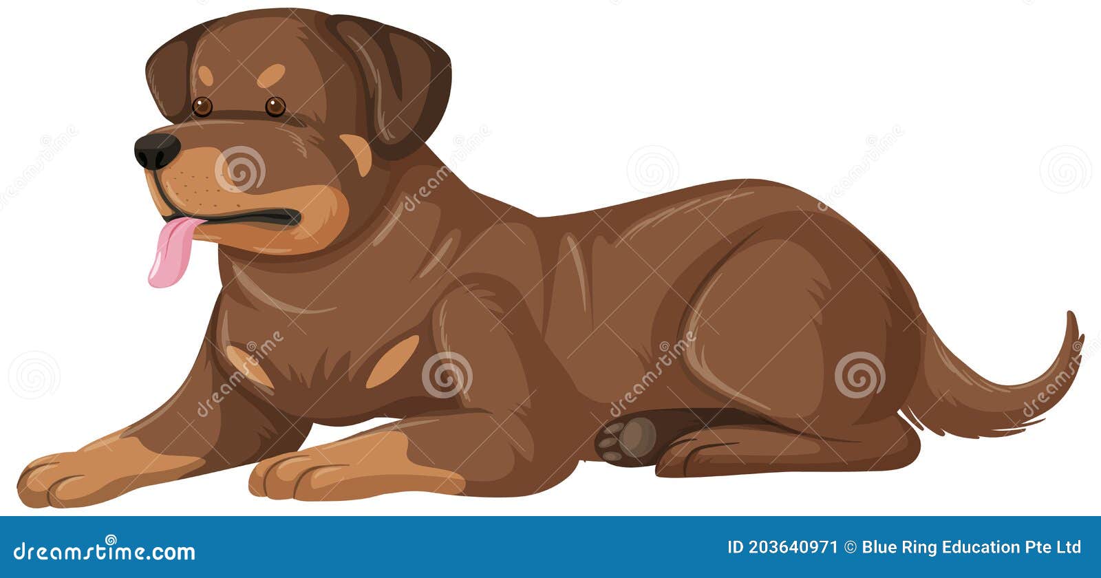 Are Rottweilers Messy