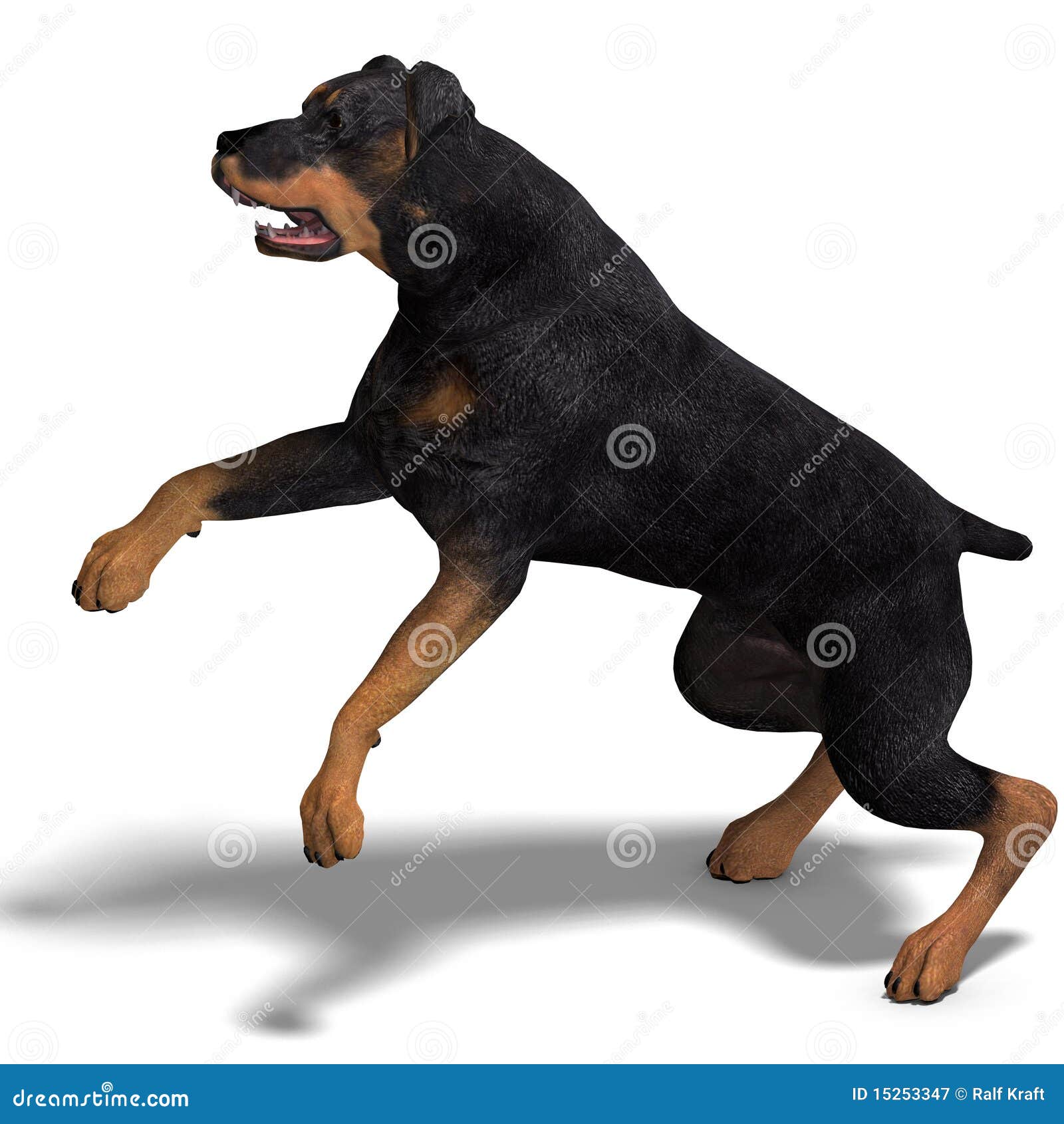 Rottweiler Dog stock illustration. Illustration of abrasively - 15253347