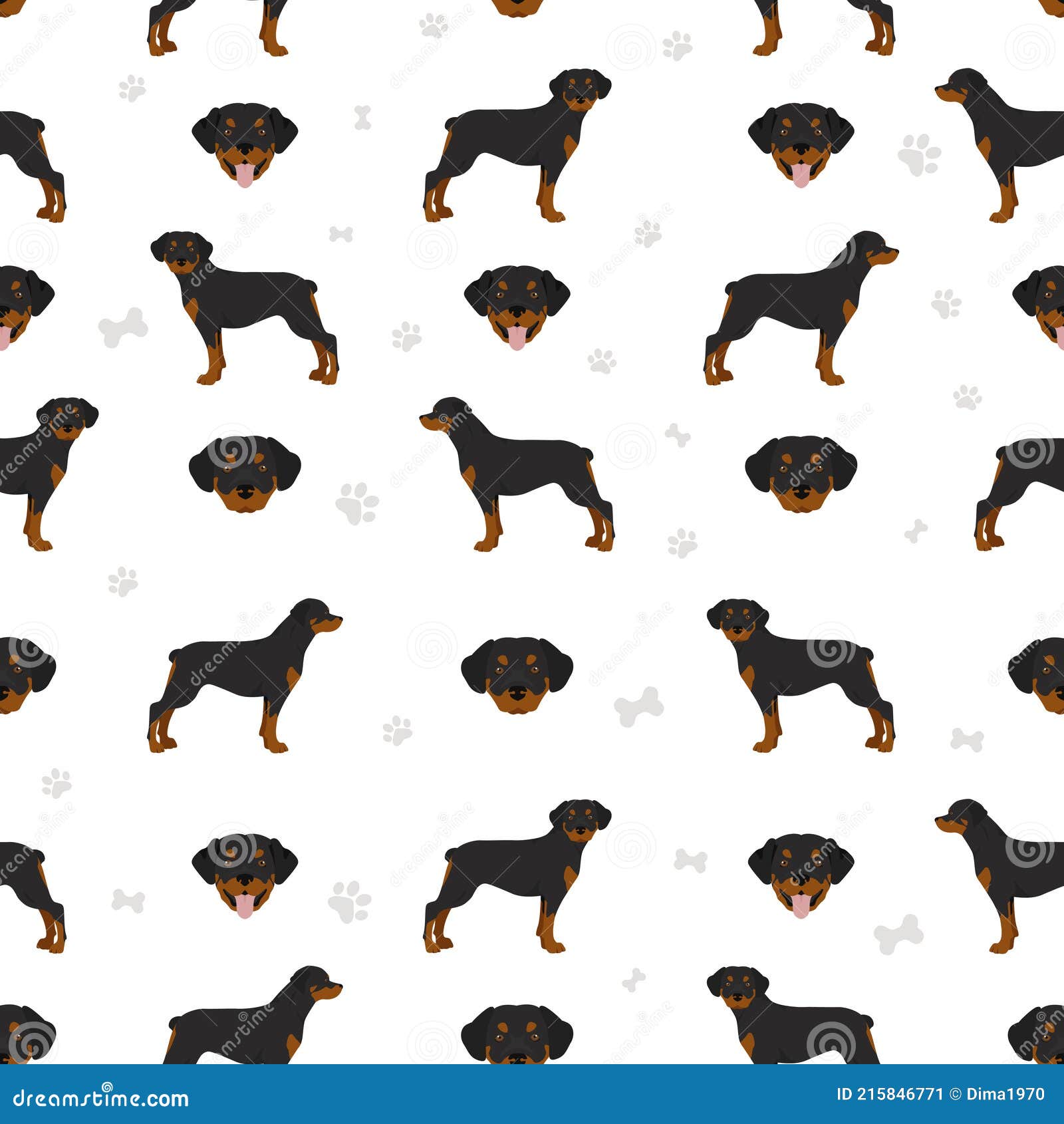 Rottweiler Seamless Pattern. Different Poses, Coat Colors Set Stock ...