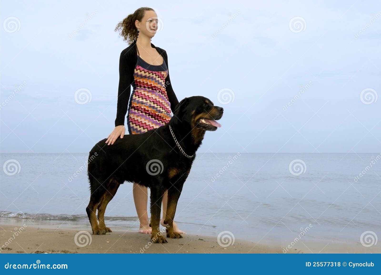 Rottweiler and Woman on the Beach Stock Photo - Image of beauty ...