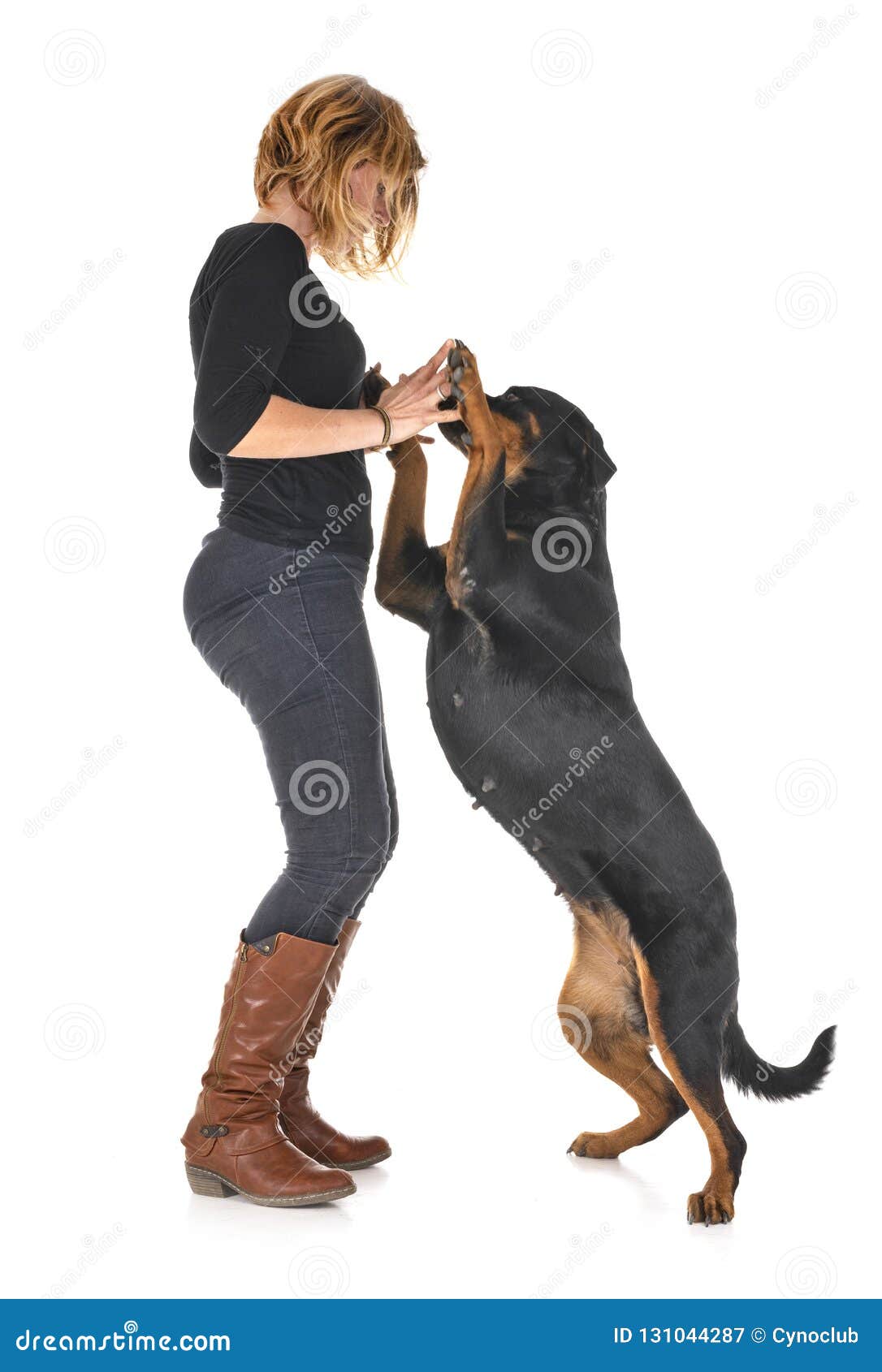 Rottweiler and woman stock image. Image of purebred - 131044287
