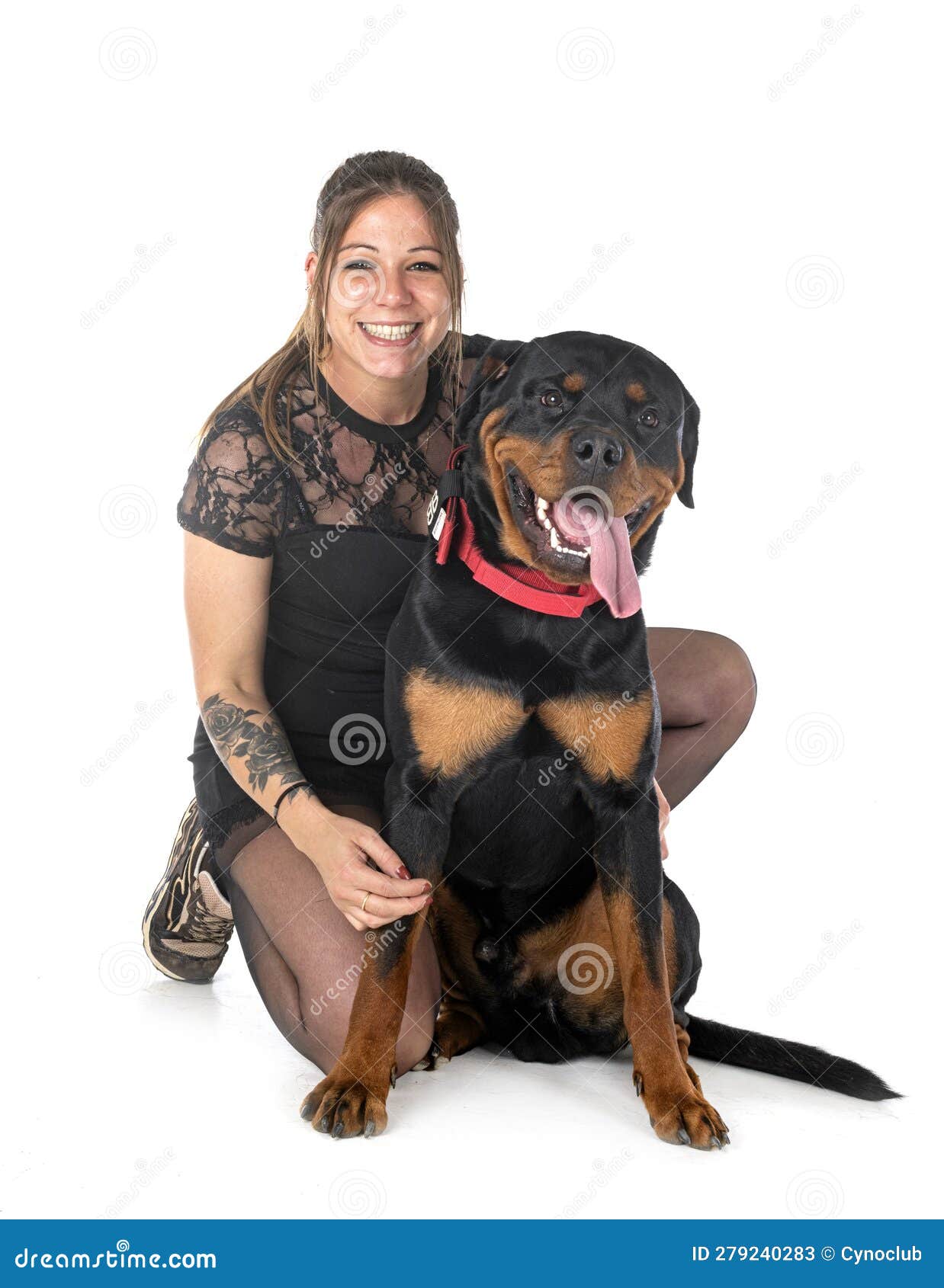 Rottweiler and Woman in Studio Stock Image - Image of guard, large ...