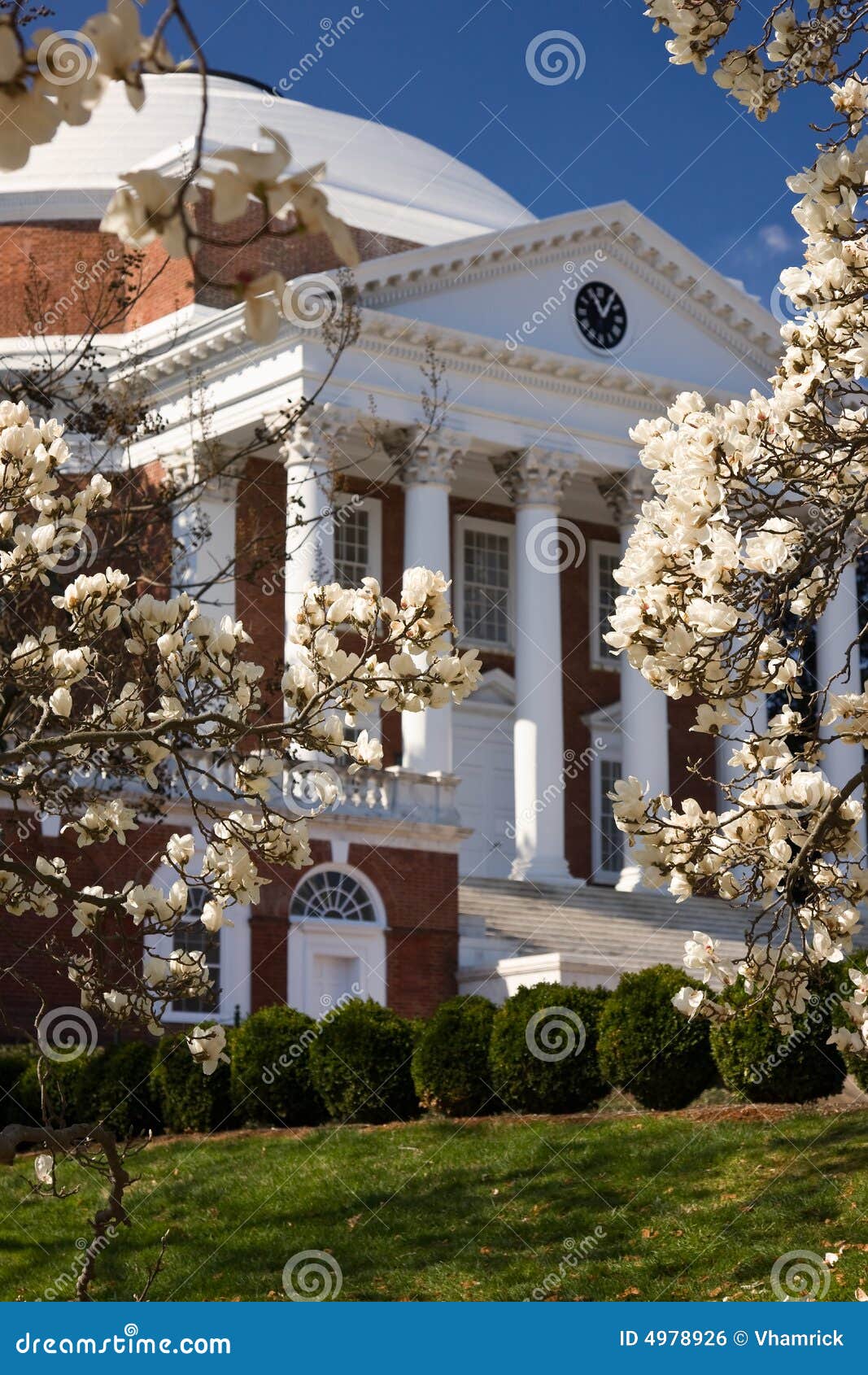 Rotunda at UVA in spring stock photo. Image of brown, exterior - 4978926