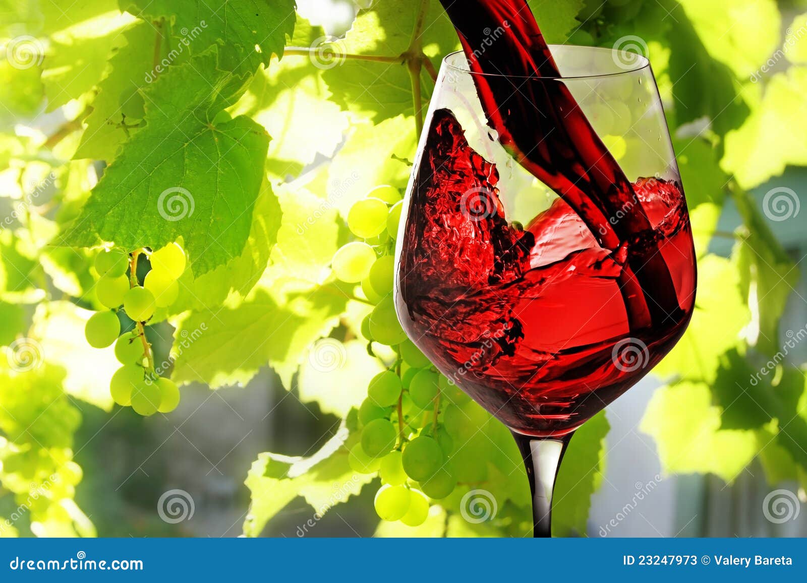 Rotwein stockbild. Bild von landwirtschaft, flüssigkeit - 23247973