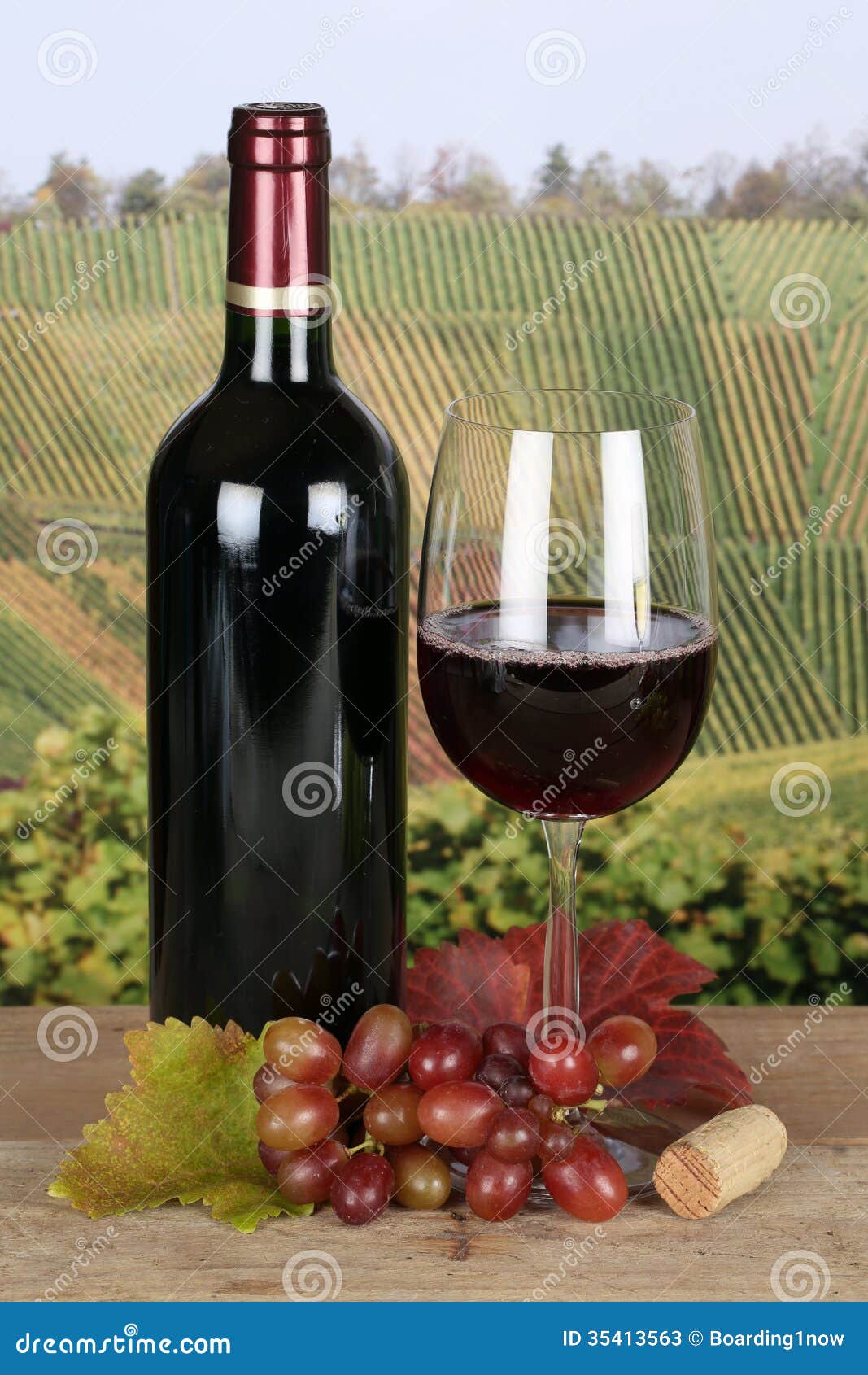 Rotwein in Einer Flasche in Den Weinbergen Stockbild - Bild von alkohol ...